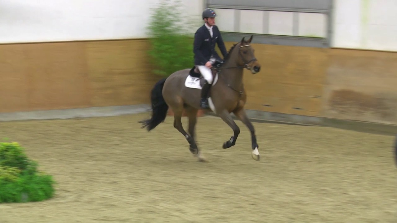 118. Commissario v. Contender - Calato - YouTube