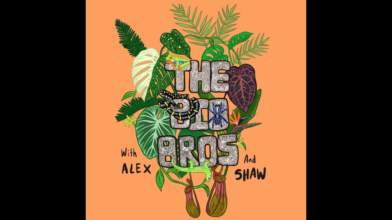 Common Plant Pest and Diseases Ep12 - YouTube Music