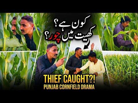 Chor ksy pakda gia 😱Arslanbadsha _ Malik Mirza _ jaga - Naveed 