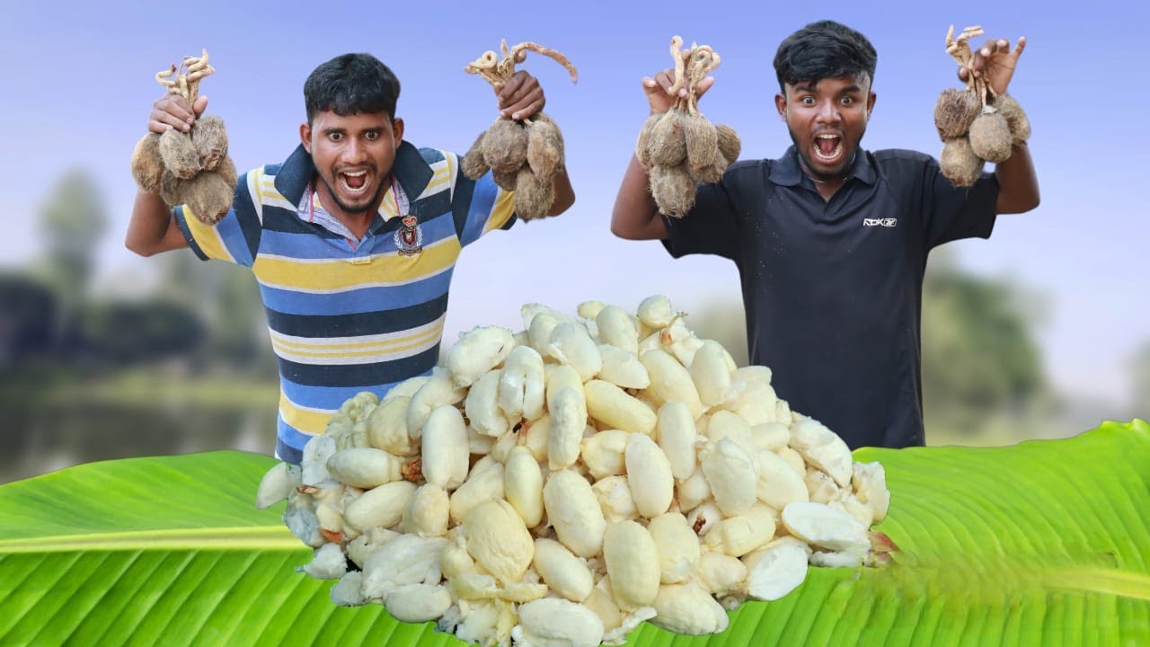 Palm tree seeds Recipe Village Cooking | Unique Food Cooking | Tali ...