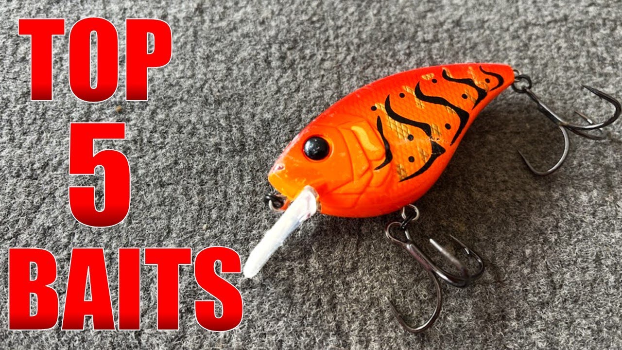 November Bass Fishing Tips: 5 Top Baits to Try - YouTube