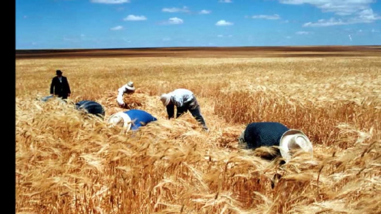 Segaremos si no Desmayamos - YouTube