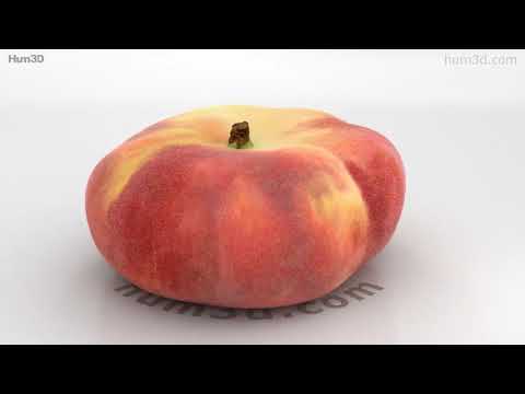 Saturn Peach 3D model by 3DModels.org