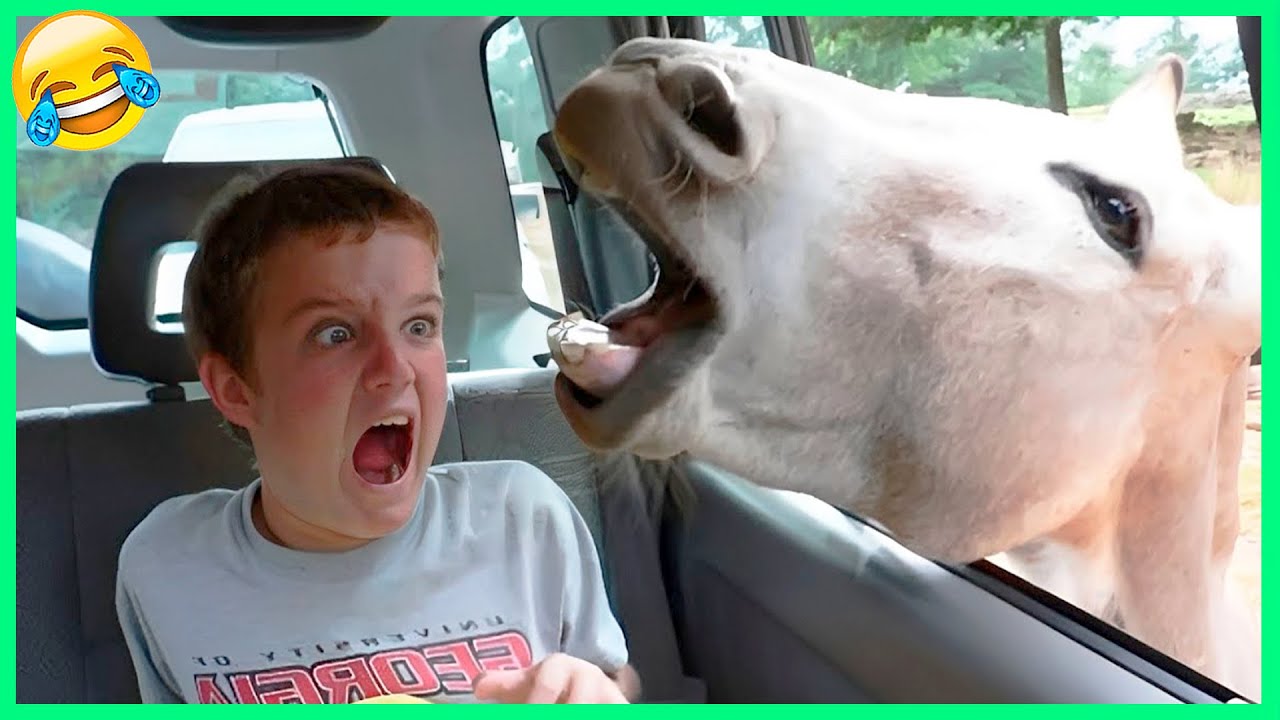 Funny Fails Video Compilation 🤣 Pranks - Amazing Stunts #4 - YouTube