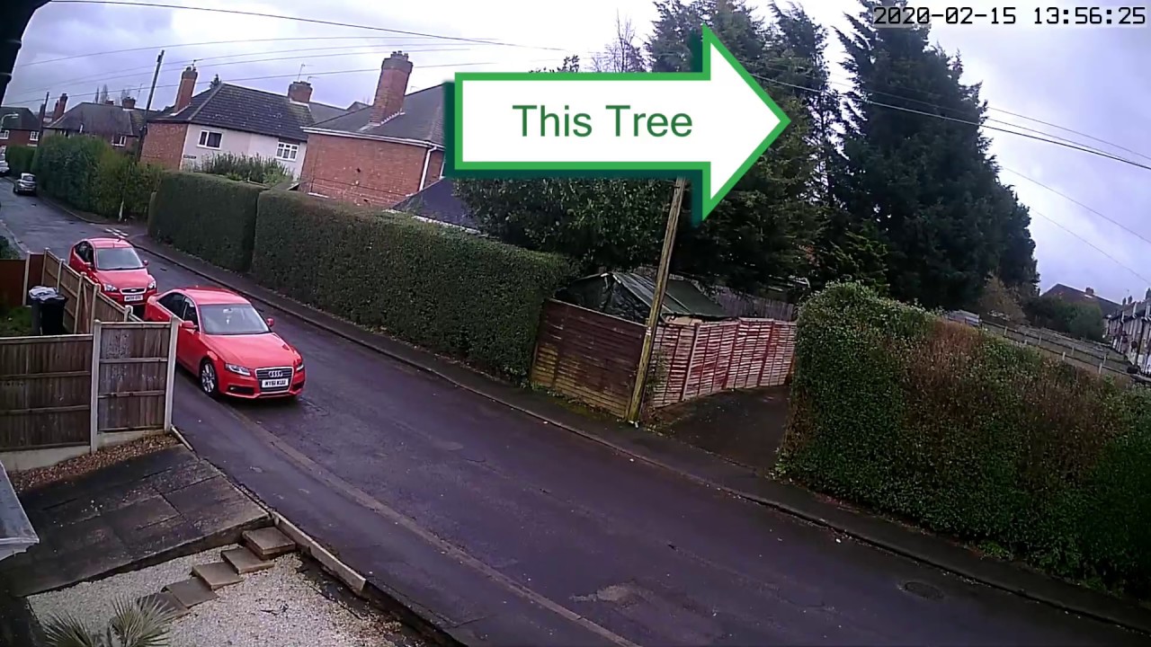 It's going down, I'm yelling timber ! Took out 2 fences too. Tree ...