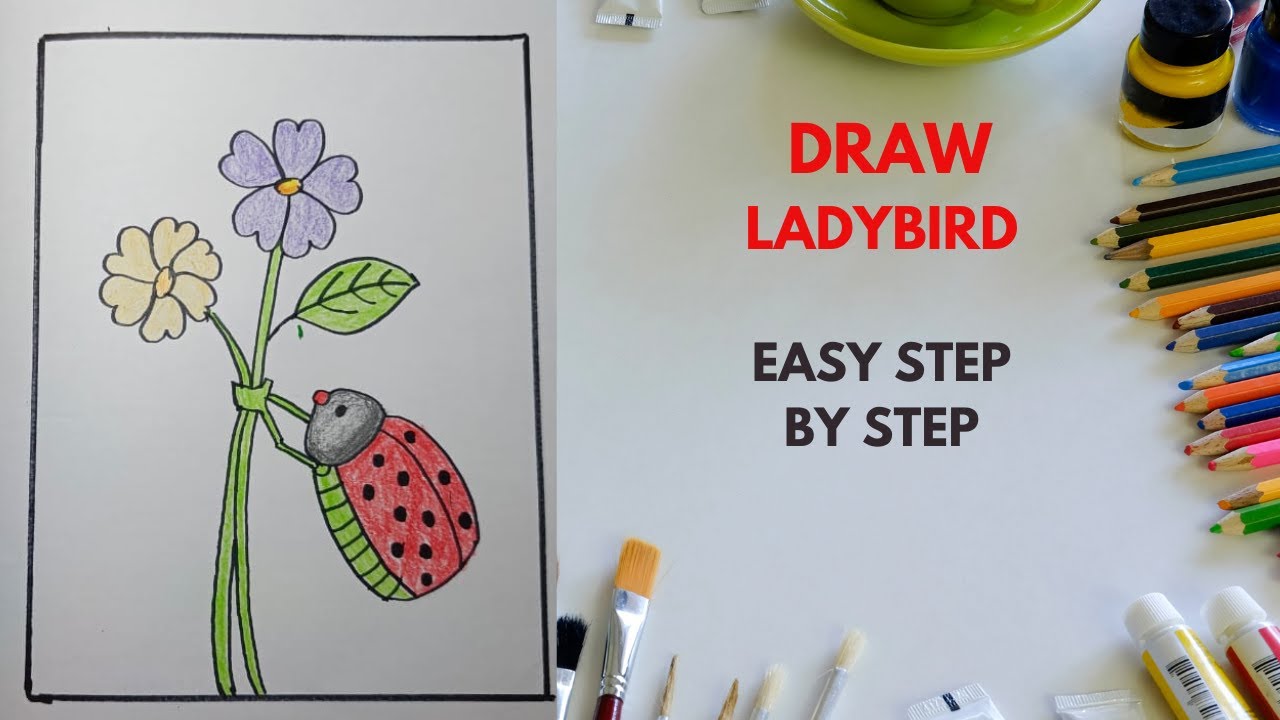 How to draw ladybird easy step by step, easy drawing, kids drawing ...