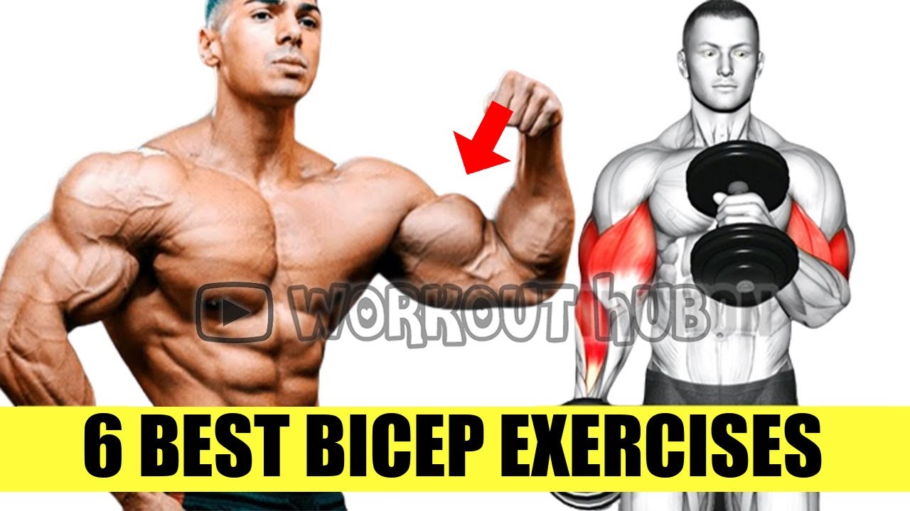 How to build biceps fast, say goodbye to weak arms after this video ...