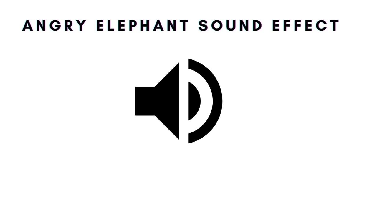 Angry elephant sound effect - YouTube
