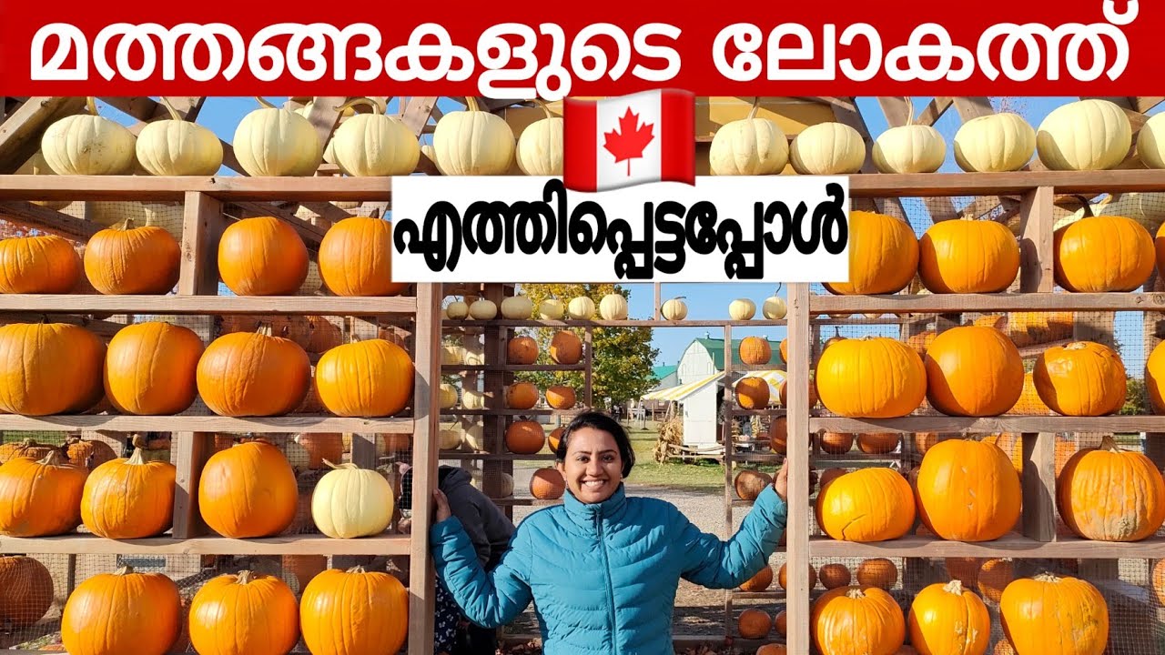 Pumpkin Festival Halloween Special Canada pumpkin-festival-halloween-special-canada