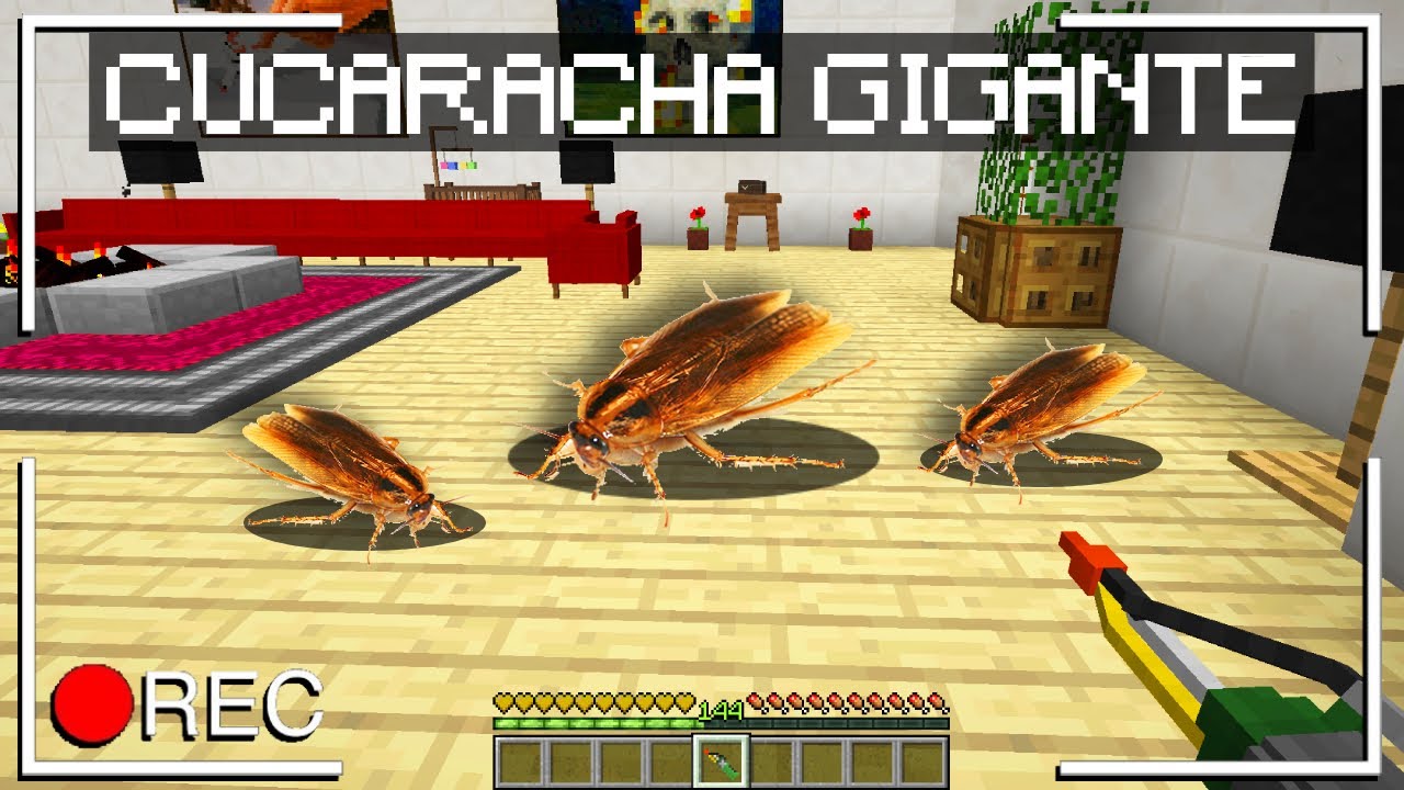 CUCARACHAS GIGANTES invaden WHO'S YOUR DADDY en MINECRAFT TROLL 🤮 - YouTube