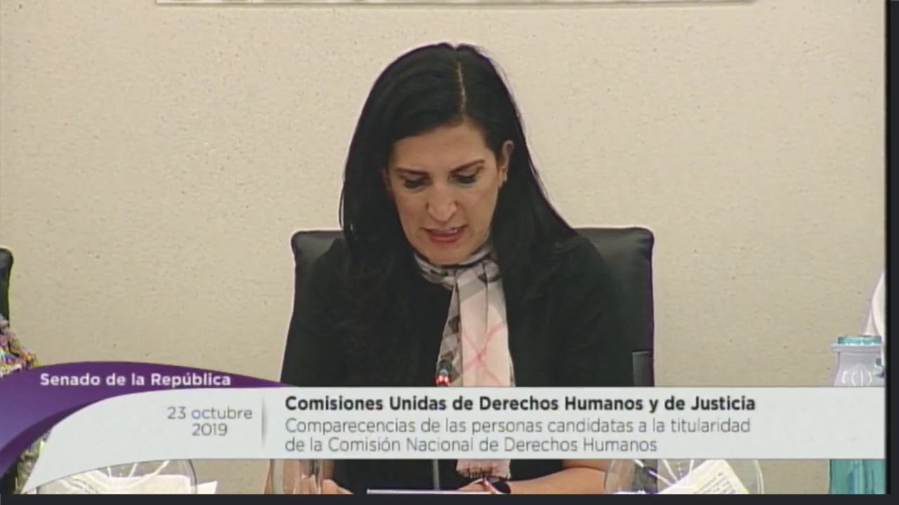 Comparecencia de Ponce de León Armenta Luis Modesto, candidato a la ...