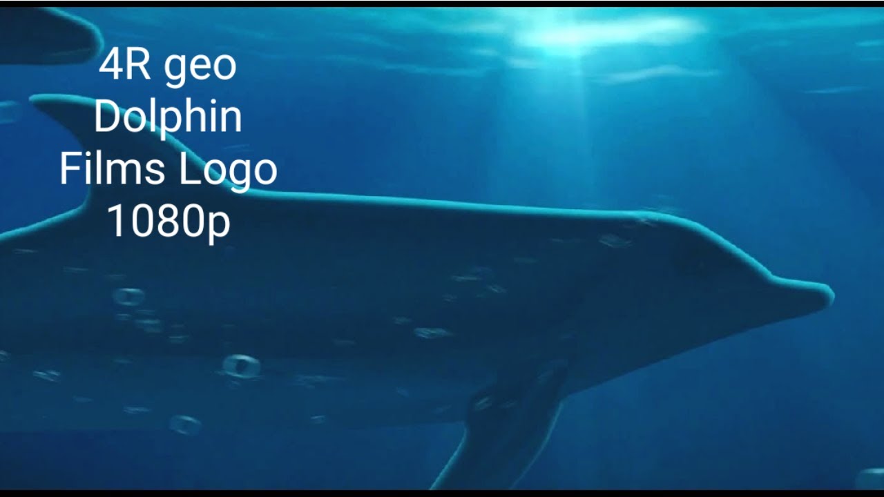 Dolphin Films Logo - YouTube