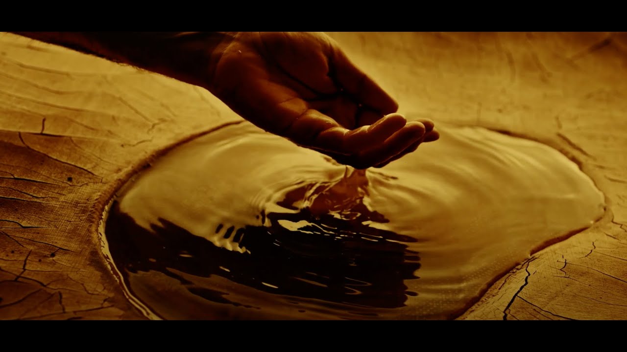 Darth Marley - War Within - [Official Music Video] - YouTube