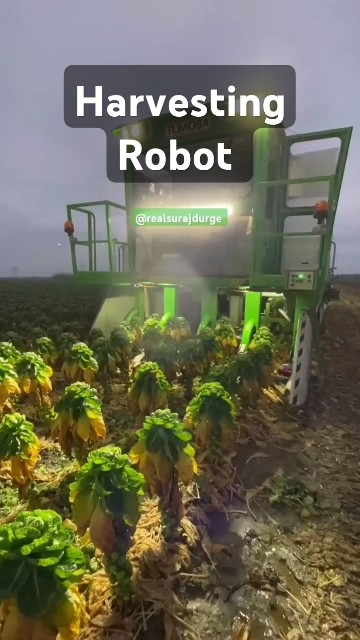 Fully automatic Brussels sprout harvesting robot - YouTube