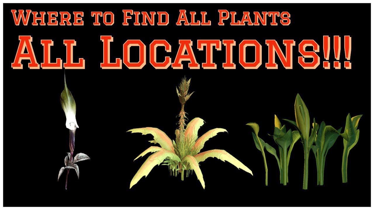 Warframe - Where to Find Every Plant *ALL LOCATIONS* - YouTube