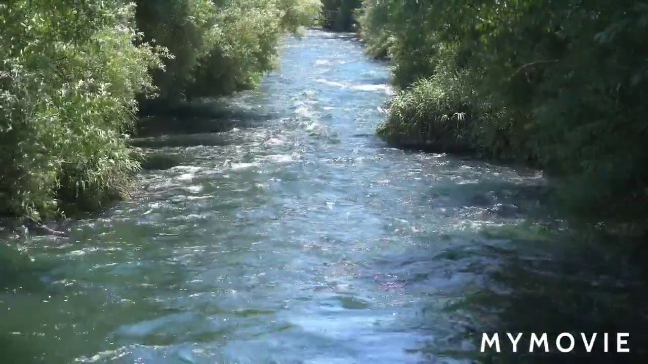 WATER RIVER - YouTube