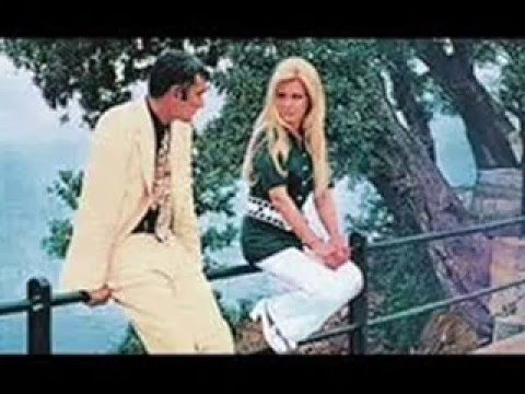 Seyfi Yerlikaya - Dünya