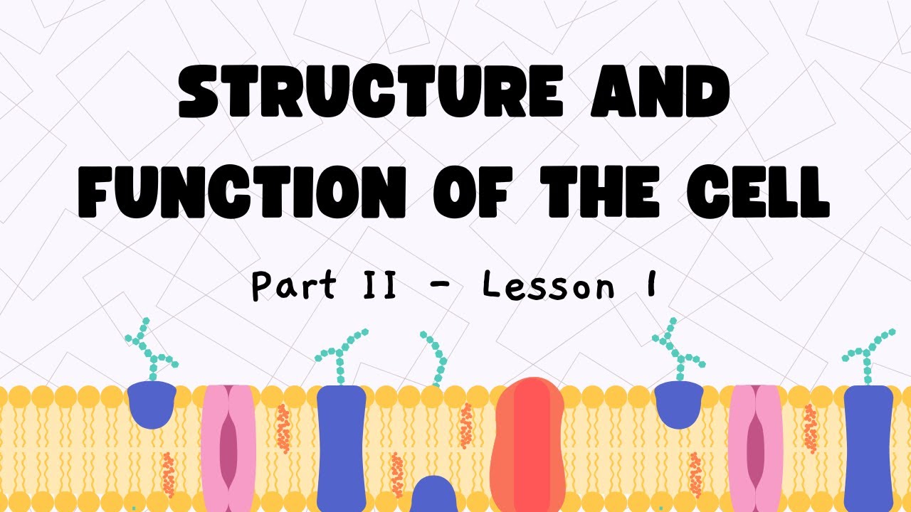 Biology 107 || Chapter 3 - Part II | Structure and Function of the Cell ...