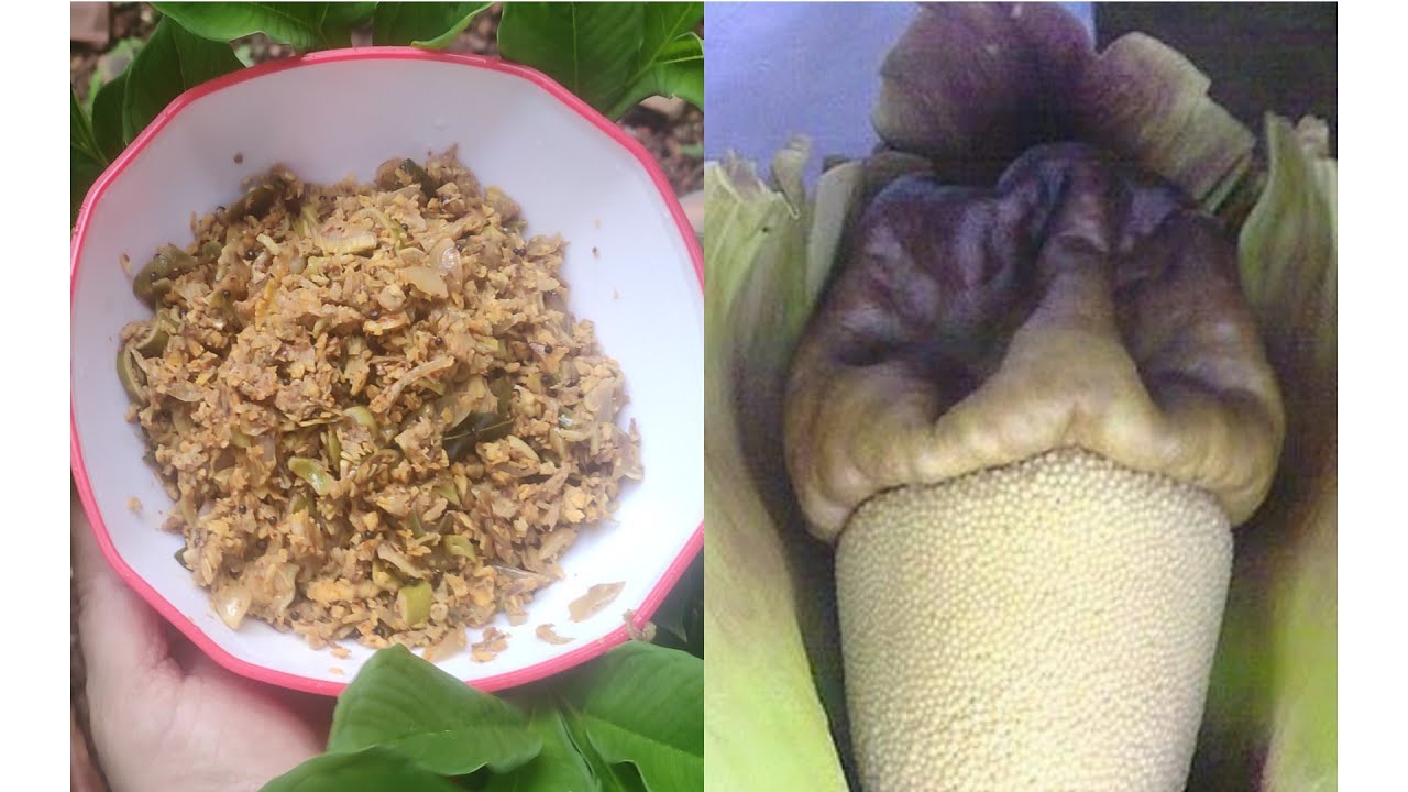 ചേന പൂവ് തോരൻ/Yam Flower thoran Healthy & Tasty - YouTube