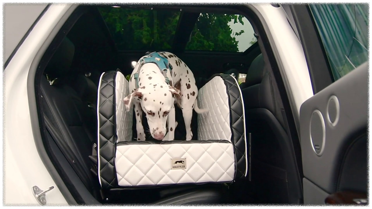 Cestování se psy s produkty DOGSTYLER® DOG SAFETYBRIDGE Isofix ...