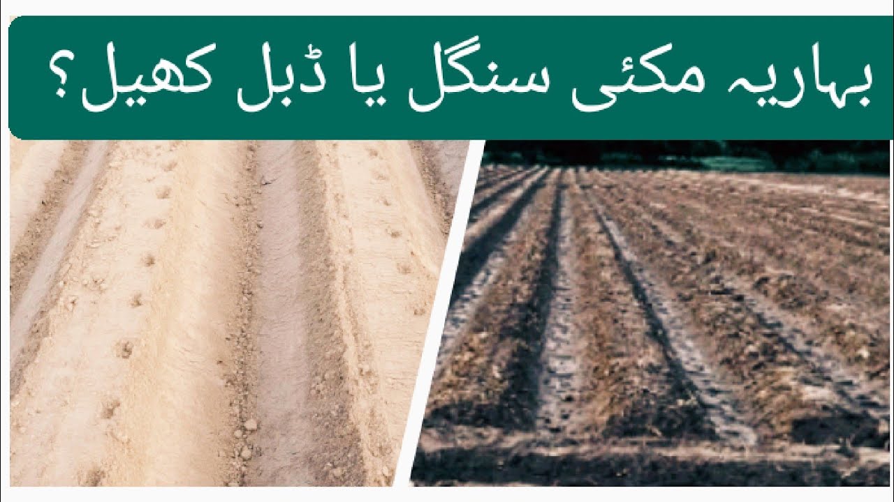 what is better single side ridge or double side ridge - YouTube