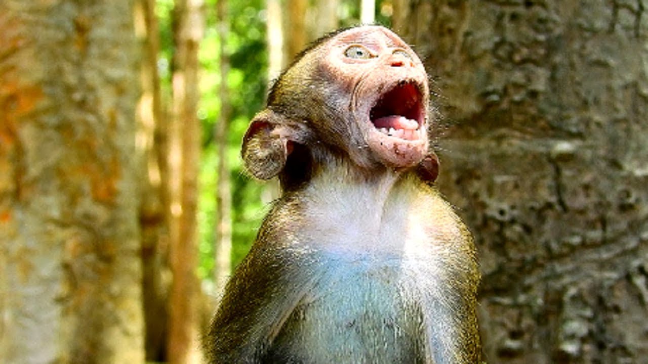 So frighten poor baby !!! Baby screaming loudly cos something went ...