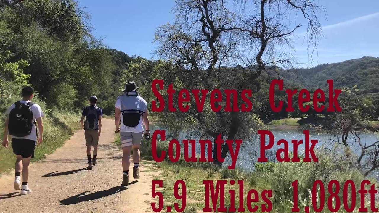 The Gang Goes Hiking! Stevens Canyon Trail, Stevens Creek County Park ...