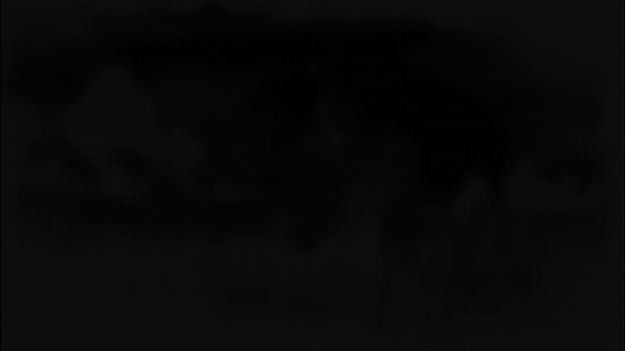 JAJCA BYKA - YouTube