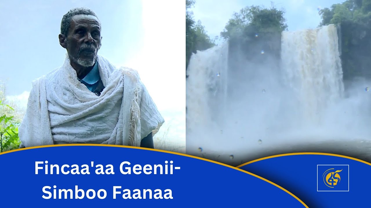 Fincaa'aa Geenii-Simboo Faanaa - YouTube