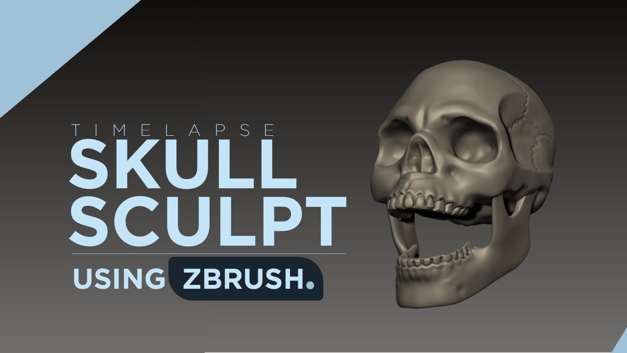 sculpting skull zbrush | sculpting a human skull - YouTube