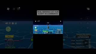 Banana Cat Hub Script Bloxfruits Bloxfruits Bloxfruit Bloxfruitscript ...