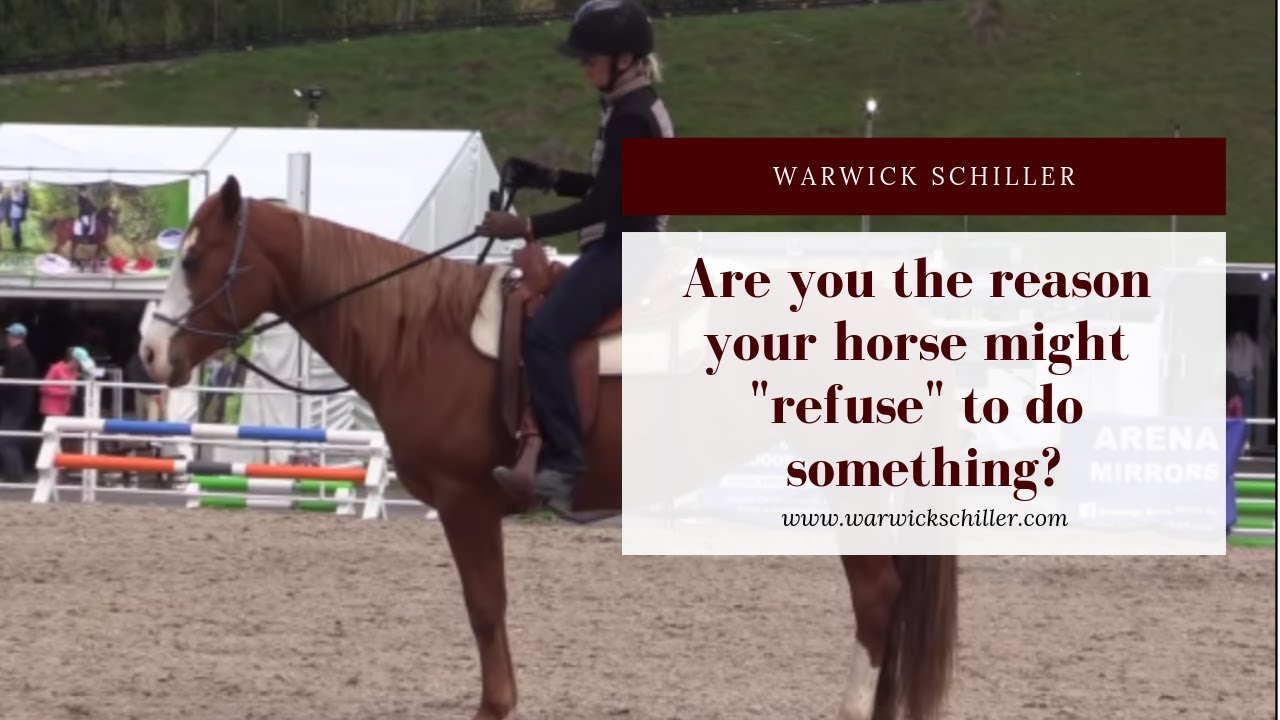 YOU could be the reason your horse might "refuse" to do something - YouTube