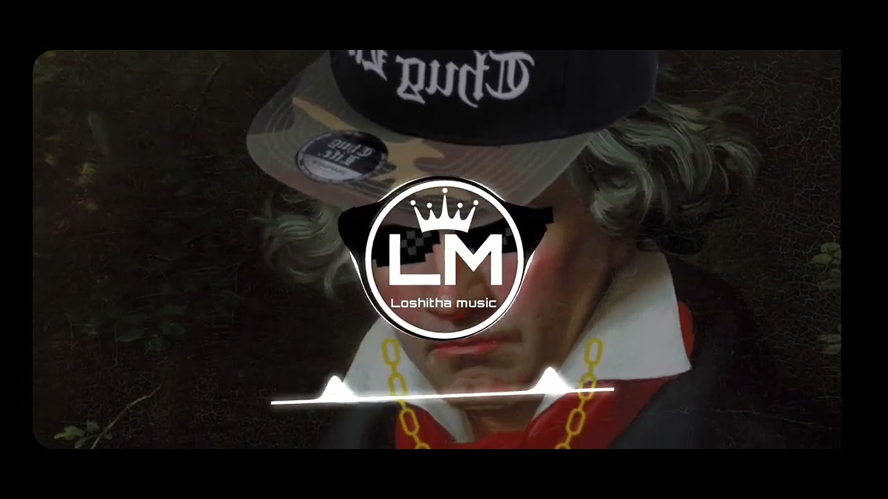 Beethoven dubstep remix by DSG - YouTube