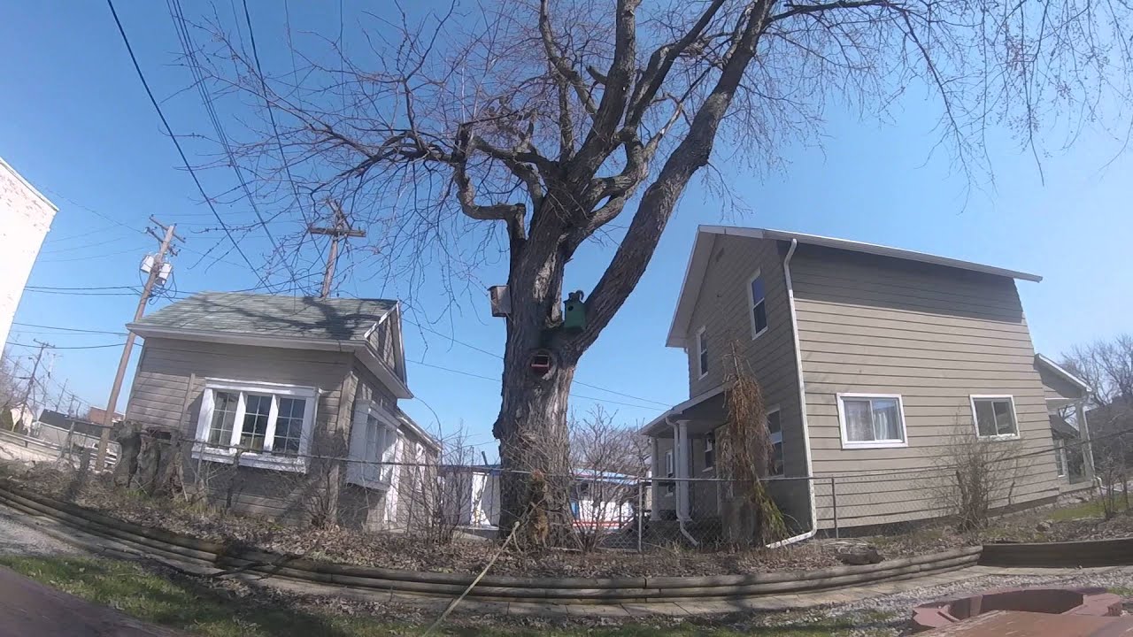 Lucky -vs- Chuckles the Squirrel - Round 1 - YouTube