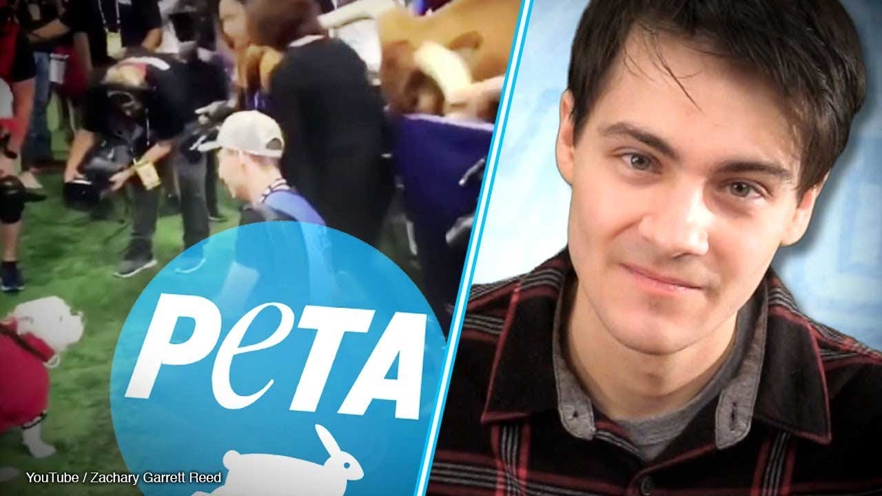PETA MAD After One School Mascot Charges Another - YouTube