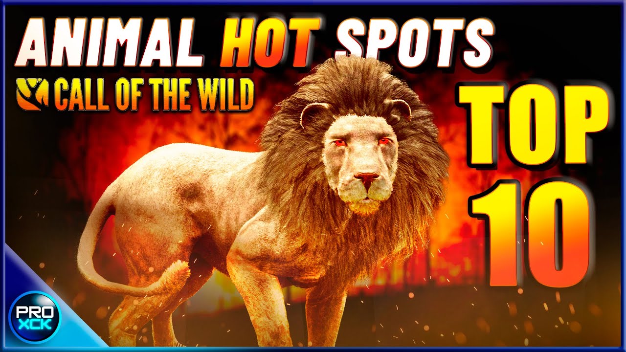 Top 10 BEST HOT SPOTS in theHunter Call of the Wild - YouTube