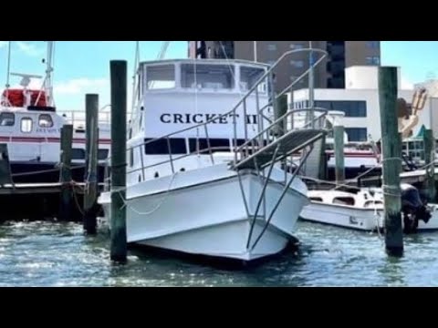 The Cricket 2 is Ready! Continuing the Shark Fishing Legacy of the Boat ...