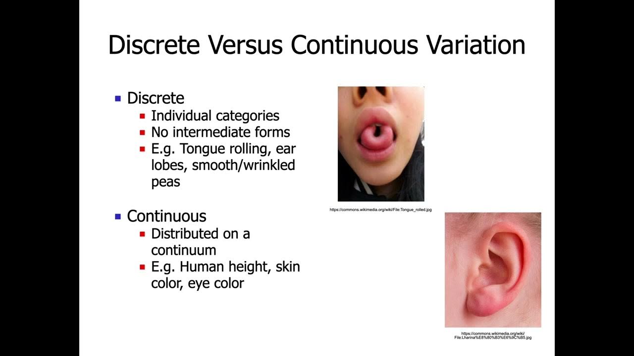 10.2 Discrete Vs Continuous Variation - YouTube