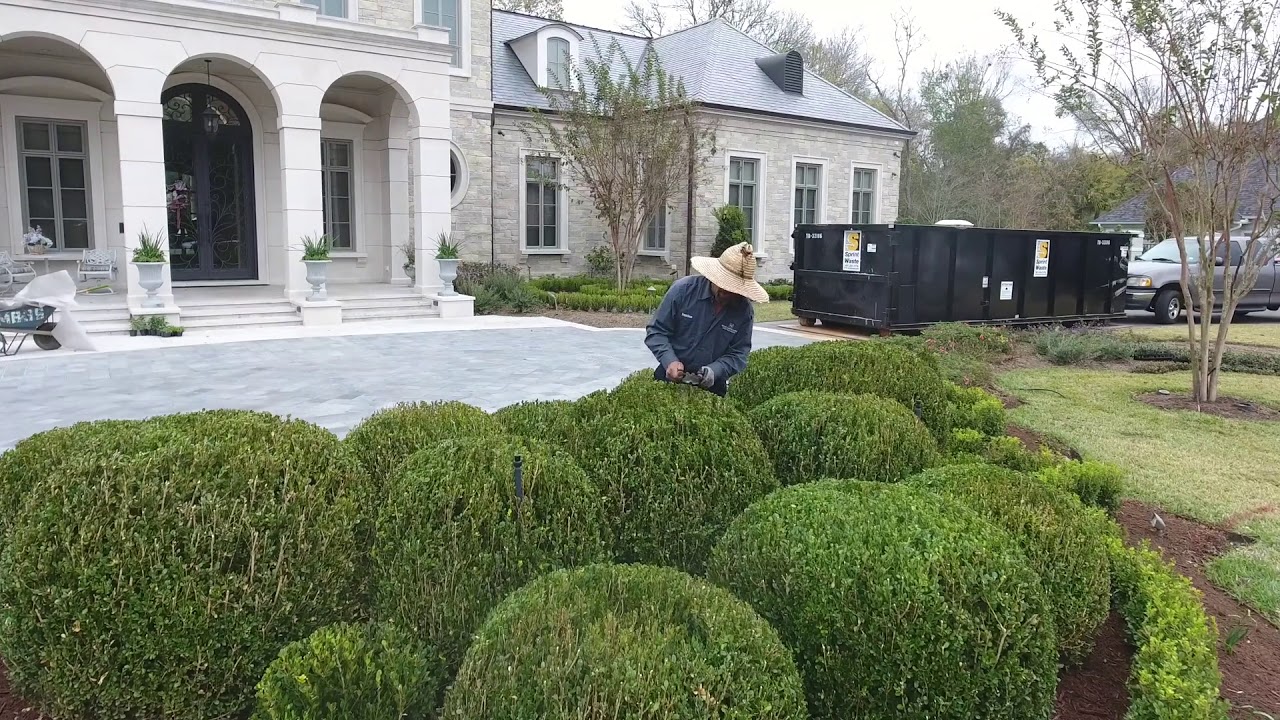 Creating a Boxwood Cloud - YouTube