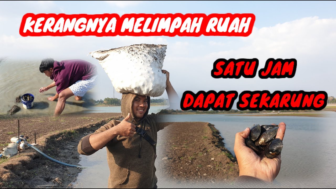 MENCARI KERANG DI WADUK BADE KLEGO BOYOLALI #wadukbade #petualangan ...