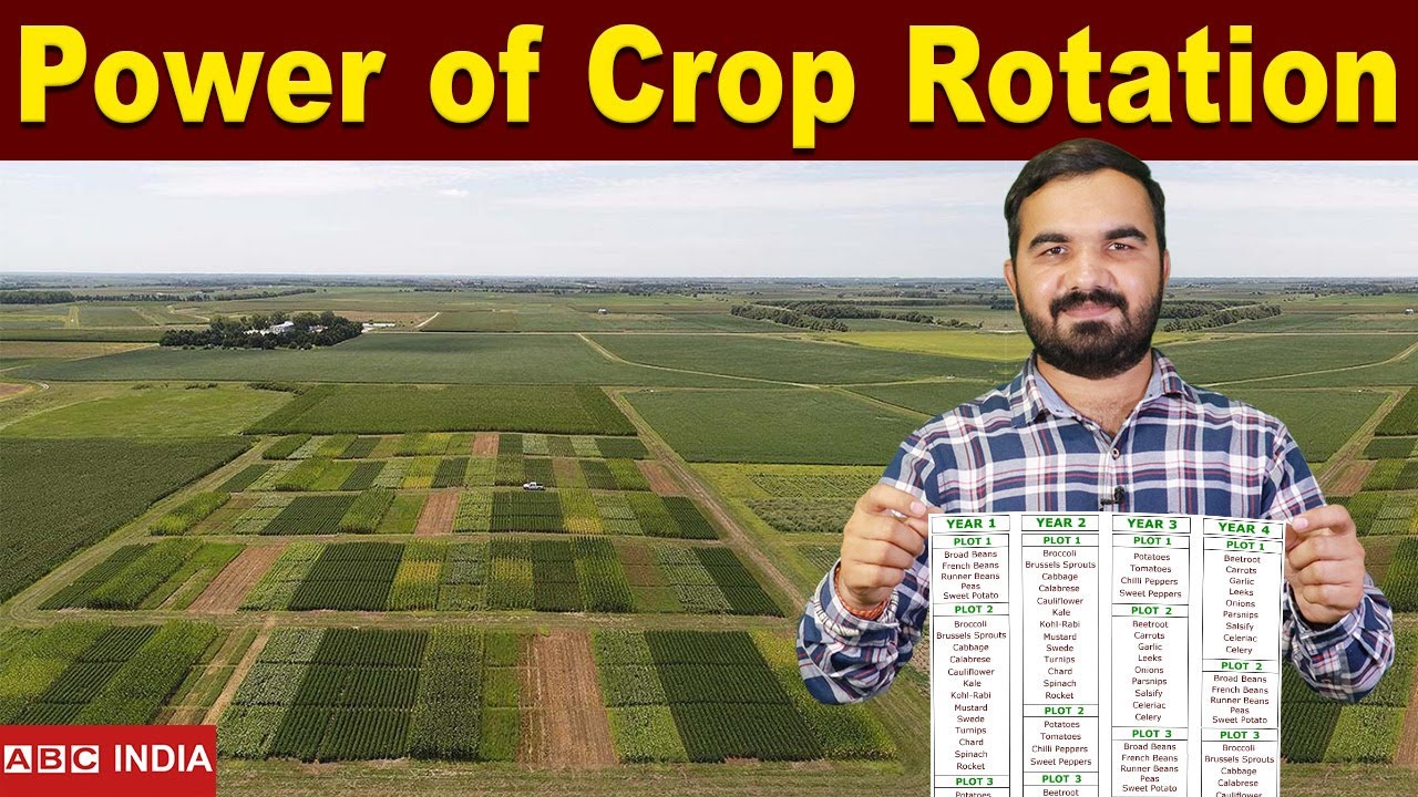 Crop Rotation table ऐसे बनाए | Crop Rotation Explained | how to make ...