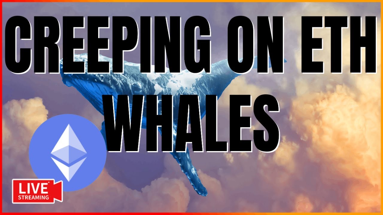 Who owns the most Ethereum? - YouTube