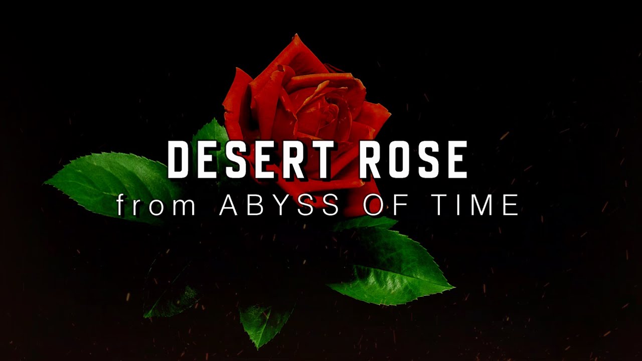 James Paddock - Desert Rose (OFFICIAL LYRIC VIDEO) - YouTube