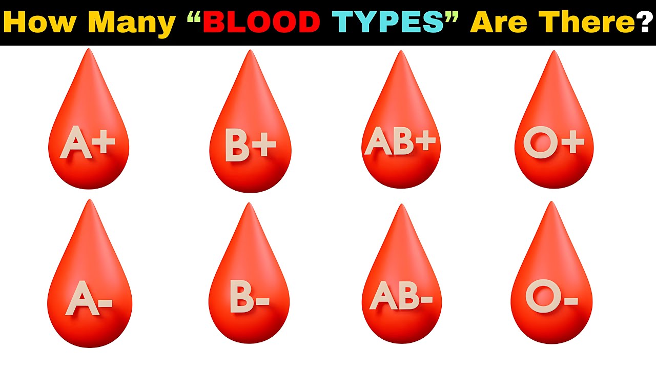 Every Blood Type Explained in 5 Minutes - YouTube