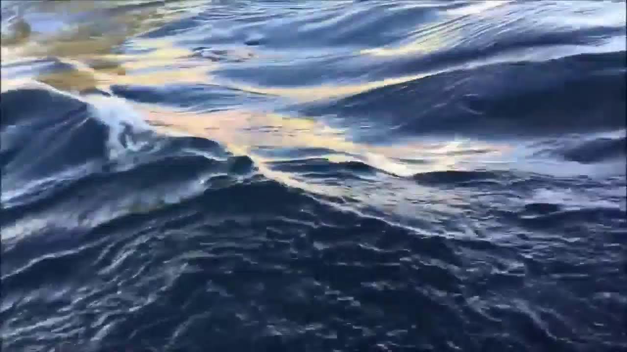 UPDATE LIVE FOR WH LETS CONNECT EACH OTE#highlights - YouTube