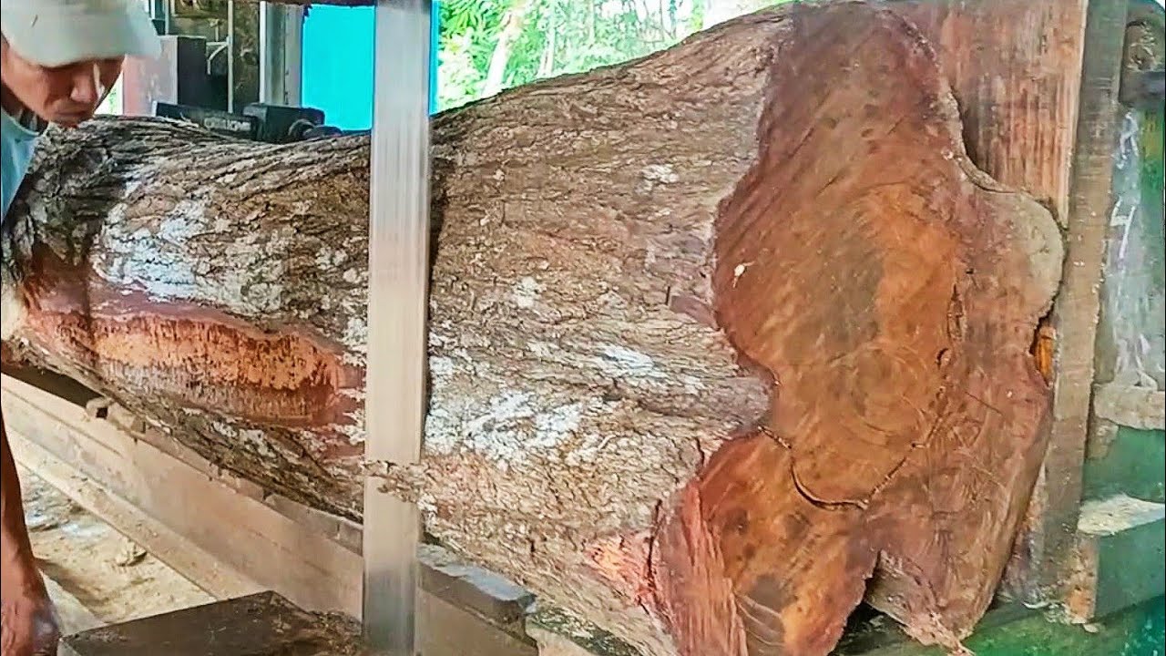 sawing acacia wood full of dense and beautiful grain - YouTube