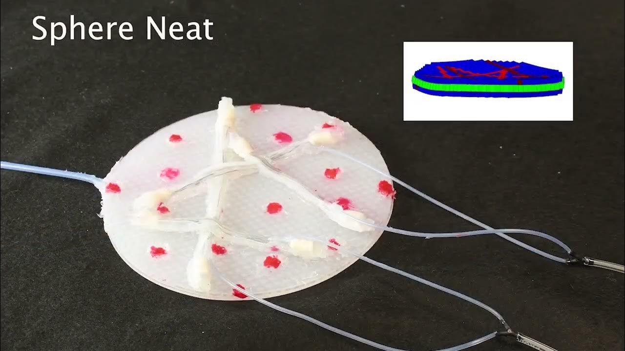 Evolving Variable Stiffness Fiber Patterns for Multi-shape Robotic Sheets. - YouTube