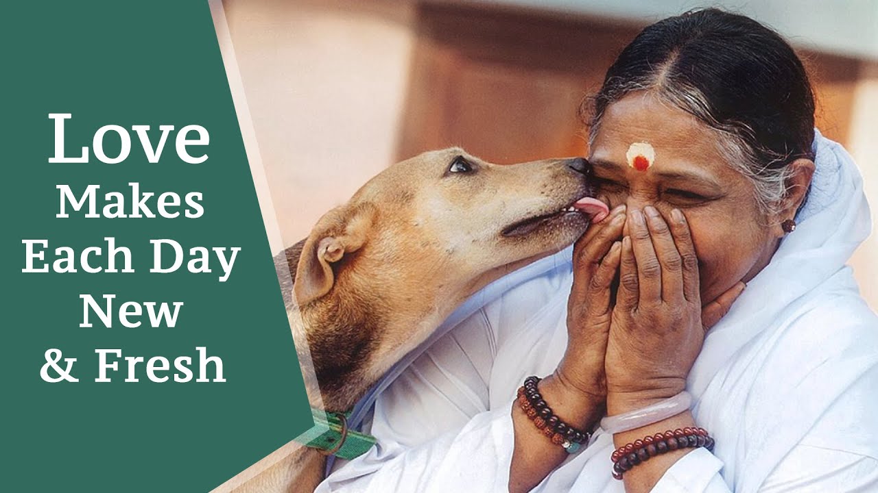 Love Makes Each Day New & Fresh- From Amma's Heart - Series: Episode 18 ...