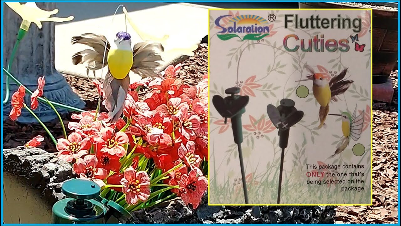 Solar Flying Hummingbird - Solaration Fluttering Cuties - YouTube