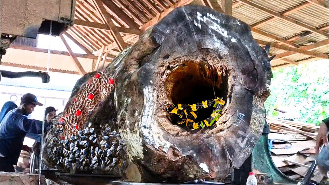 Mengubah kayu trembesi besar menjadi papan mewah meja resin yang sangat ...